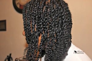 How to Get the Best Looking Mini Twists with Clean Parting – Fine ...