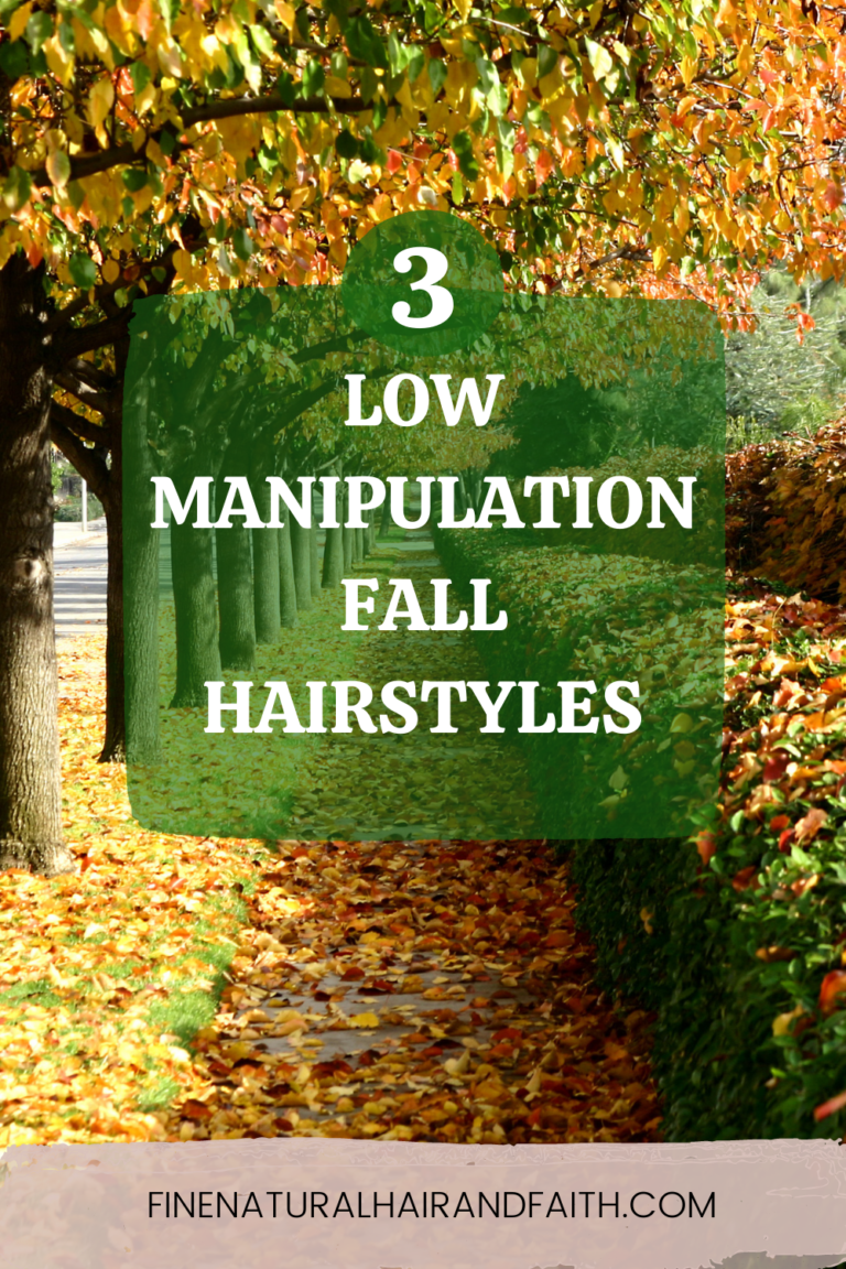 3 Fall Hairstyles That Promote Length Retention – Fine Natural Hair & Faith