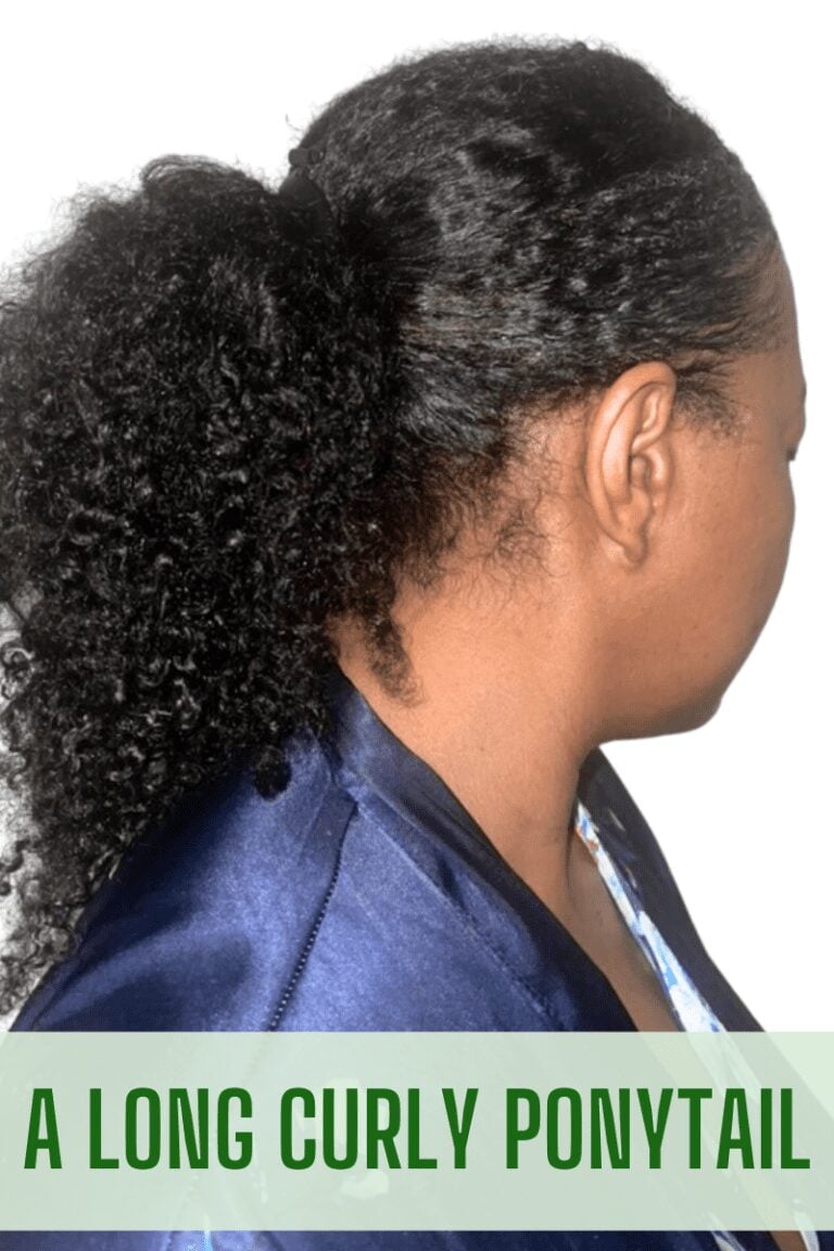 50 Easy Natural Hair Ponytail Styles for Curly Hair