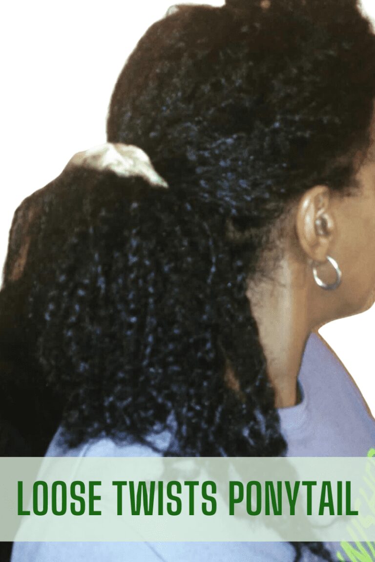 50 Easy Natural Hair Ponytail Styles for Curly Hair