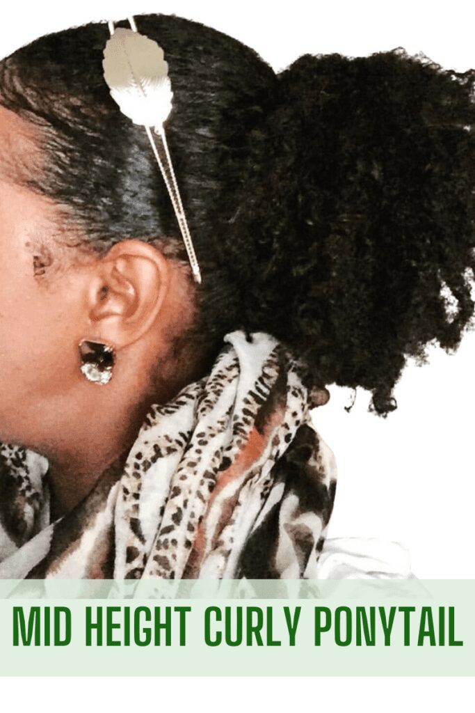 50 Easy Natural Hair Ponytail Styles for Curly Hair