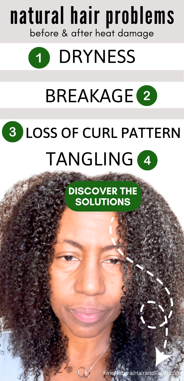 Heat Damaged Natural Hair: Low Porosity Hair Recovery
